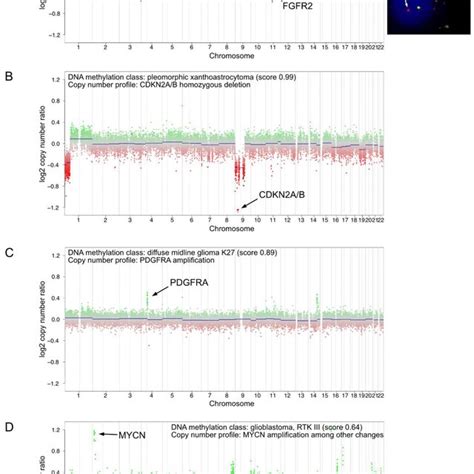 examples of cnv plots from dna methylation array showing relevant
