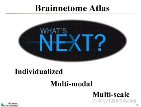 实验室蒋田仔研究员：脑网络组图谱近10年研究详解【附ppt】 Csdn博客