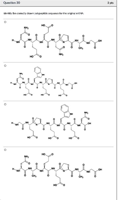 Identify The Correctly Drawn Polypeptide Sequence For The Original Mrna