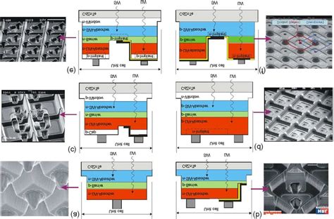 Cross Section Views Of Unit Cells For Various Back Illuminated Download Scientific Diagram