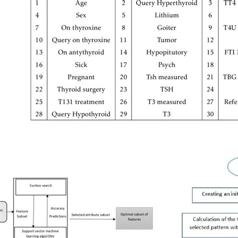 The Classification Algorithm For 50 Iterations Download Scientific Diagram