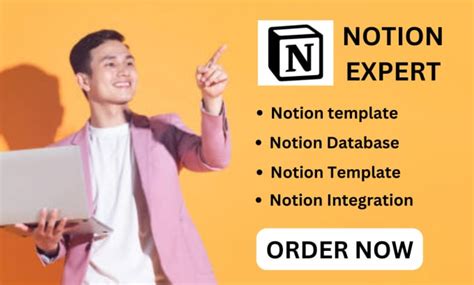Build Notion Notion Template Notion Database Notion Expert By