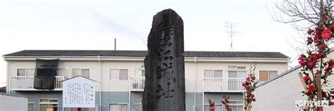 蟹江城 DIIIG