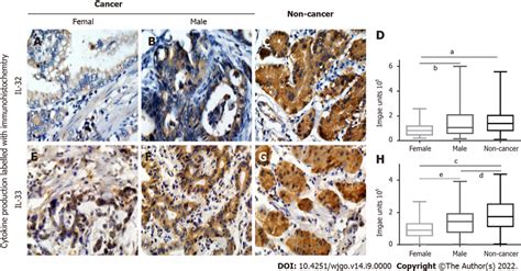 Correlation Of Interleukin 32 And Interleukin 33 Expression With Sex Download Scientific
