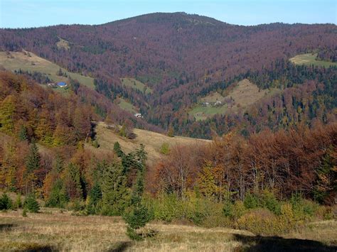 Gorc Wikipedia Wolna Encyklopedia