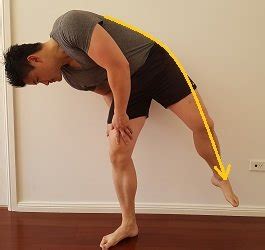 15 Quadratus Lumborum Stretches For Back Tightness Posture Direct