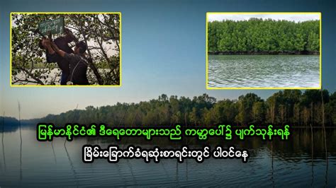 မြန်မာနိုင်ငံ၏ ဒီရေတောများသည် ကမ္ဘာပေါ်၌ ပျက်သုန်းရန် ခြိမ်းခြောက်ခံရဆုံးစာရင်းတွင် ပါဝင်နေ