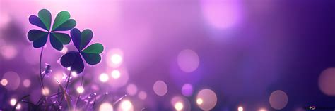 Magical Four Leaf Clover In Twilight 6k Wallpaper Download