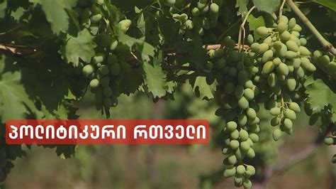 პოლიტიკური რთველი და „ოცნების შემომწირველებზე მორგებული სუბსიდია Youtube