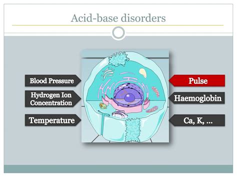 PPT ACID BASE DISORDERS PowerPoint Presentation Free Download ID 4828531