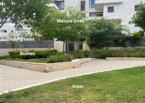 Figure From Multi Sensor Classification Framework Of Urban Vegetation For Improving Ecological
