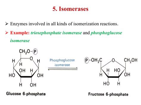 Enzymes Definitions Types And Classification Pptx