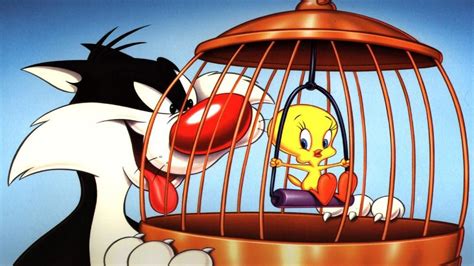 Looney Tunes Tweety Bird Wallpaper 61 Images