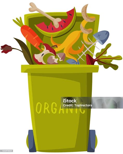 폐기물 선별 녹색 쓰레기 통 분리 및 분리 쓰레기 처리 쓰레기통 벡터 일러스트레이션 0명에 대한 스톡 벡터 아트 및 기타 이미지 0명 개념 기민 Istock