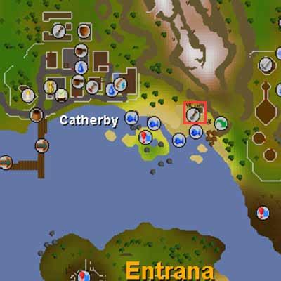 OSRS Complete Farming Guide OSRS Guide OSRS Complete Farming Guide OSRS Guide