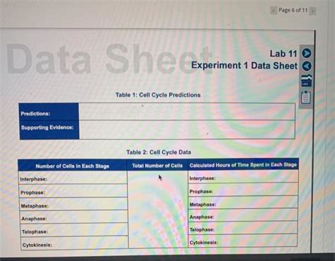 Solved Page 6 Of 11 Data She Experi Lab 11 Experiment 1 Data