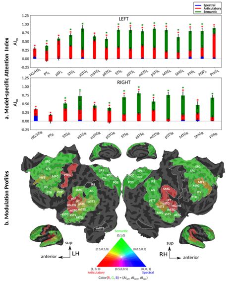 Attentional Modulation Of Multi Level Speech Representations A Download Scientific Diagram