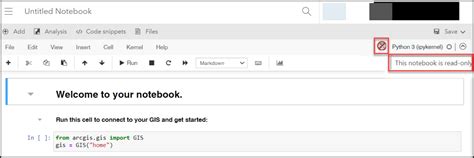Error This Notebook Is Read Only