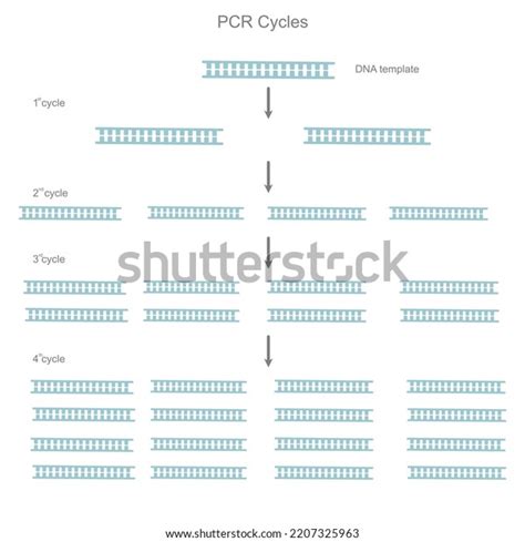 Nucleic Acid Amplification Test Technology Over 1 Royalty Free