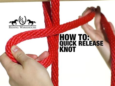 How To Tie Up A Horse At Christian Terri Blog
