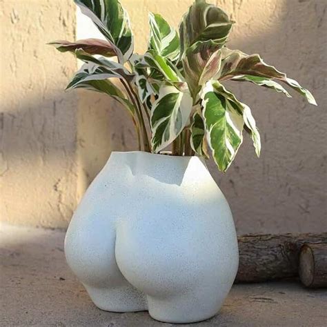 Amazon Com Plant Vases