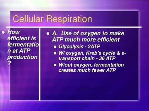Ppt Ch 5 Notes Part Two Respiration Powerpoint Presentation Free