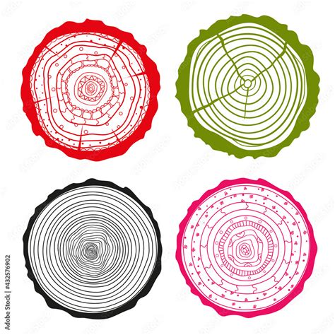Tree Rings Set Of Cross Section Of The Tree Set Of Tree Rings On Isolation Background