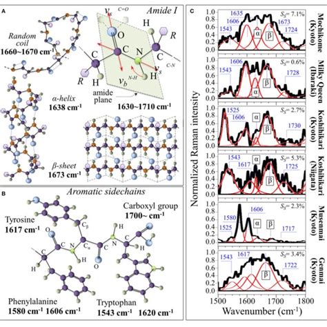 A Amide I Vibrational Modes And Schematic Drafts Of The Secondary Download Scientific