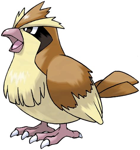 Pokemon Pidgey Evolution
