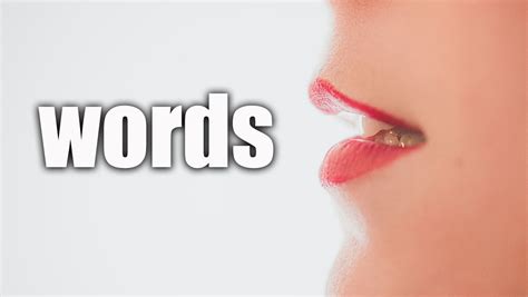 Don T Put Words In My Mouth