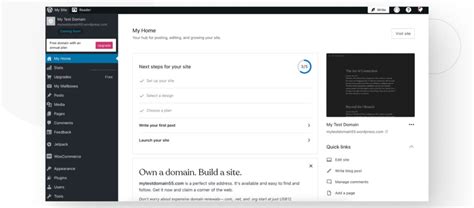 can you build a wordpress site without hosting white canvas