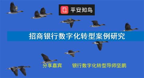 坚鹏现场录制视频课程——招商银行数字化转型案例研究 知乎