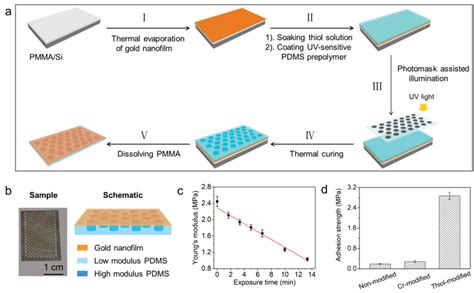 Schematic Of Fabrication Process And Related Principle Of Stretchable Download Scientific