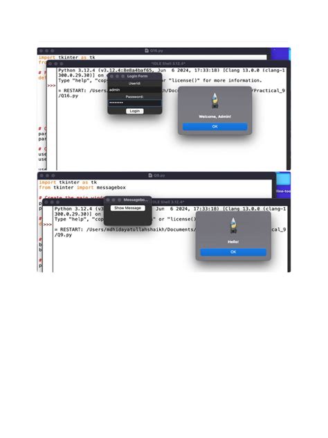 Minor Python Practicals Pdf