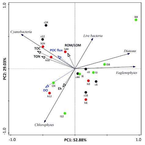 Principal Component Analysis Pca Ordination Tri Plot For Benthic