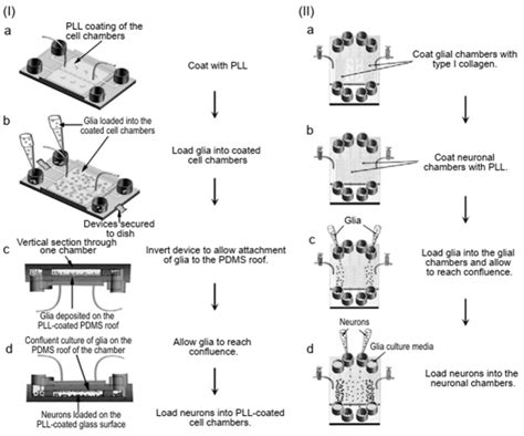 Integrated Microfluidic Microelectrode Array
