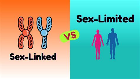 Sex Linked Vs Sex Limited Youtube