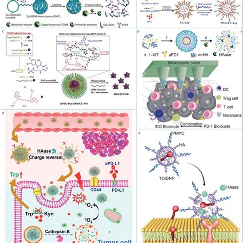 Pdf Intelligent Stimuli Responsive Nano Immunomodulators For Cancer