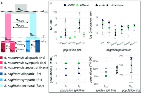 Model Parameter Estimation A Schematic Representation Of The Model Download Scientific