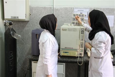 سیر تا پیاز رشته بهداشت مواد غذایی؛ چالش‌ها و تهدید‌ها خبرگزاری آنا