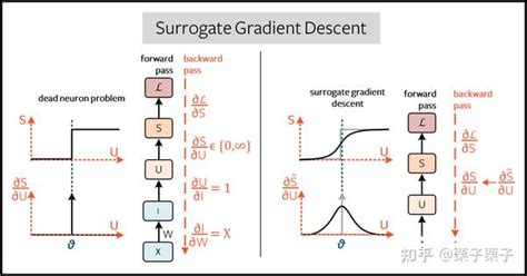 白话脉冲神经网络（7）：卷积脉冲神经网络中的替代梯度下降 知乎