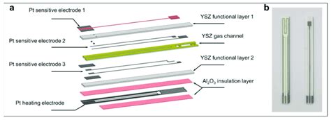 The Planar Nitrogen Oxygen Sensor A Schematic Structure Via An