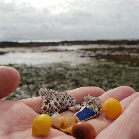 Just Like Us Every Shell Tranquility Holistic Therapies Facebook