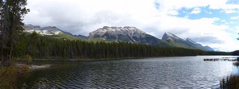 Honeymoon Lake Campground Jasper National Park Icefields Parkway
