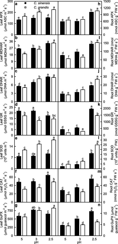 Effects Of Low Ph On Ascorbate Peroxidase Apx A H Download