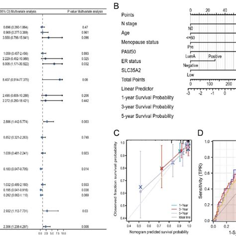 Verification Of Slc35a2 Expression In Breast Cancer Slc35a2 Expression