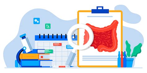 장 건강과 창 자 식물 박테리아 소화에 대 한 알 약 창자의 진단 염증 대장염 난독증 이영양증 미생물 치료 의사 약속 온라인 상담 건강관리와 의술에 대한 스톡 벡터 아트 및