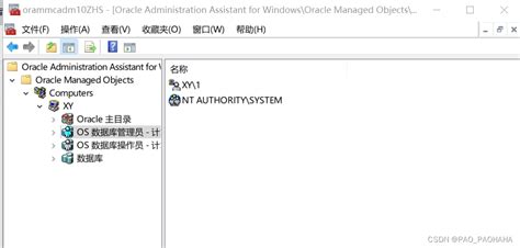 【windows10环境下conn As Sysdba会报错ora 01031】conn As Sysdba Ora01031 Csdn博客