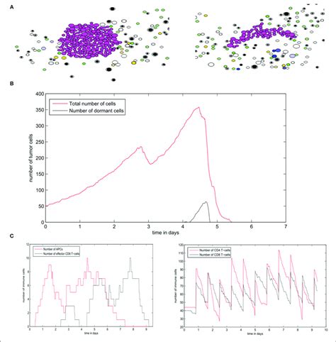 Results Of A Numerical Simulation Using The Hybrid Model Of The