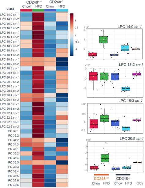 Heatmap Generated Using Metaboanalyst Highlighting The Differential